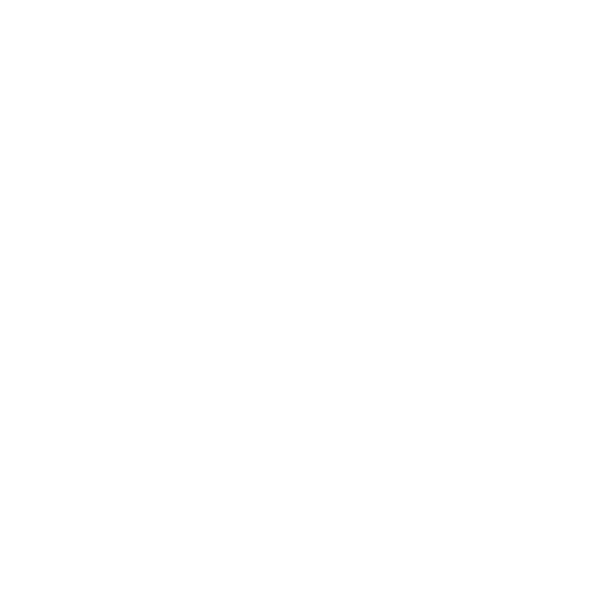 Jimmy Rex | We Are The They