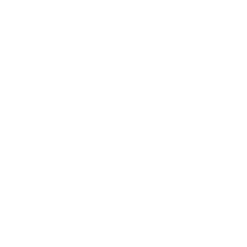 Jimmy Rex | We Are The They