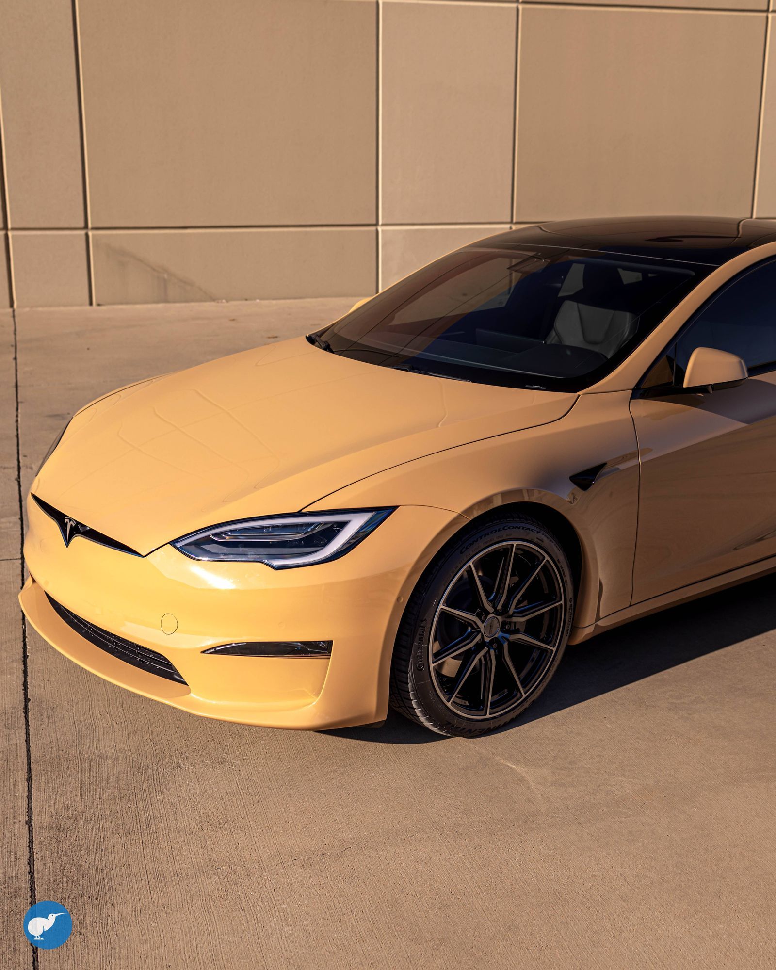 Supreme Wraps – Car Wraps, Paint Protection (PPF) & Window Tint in TX ...
