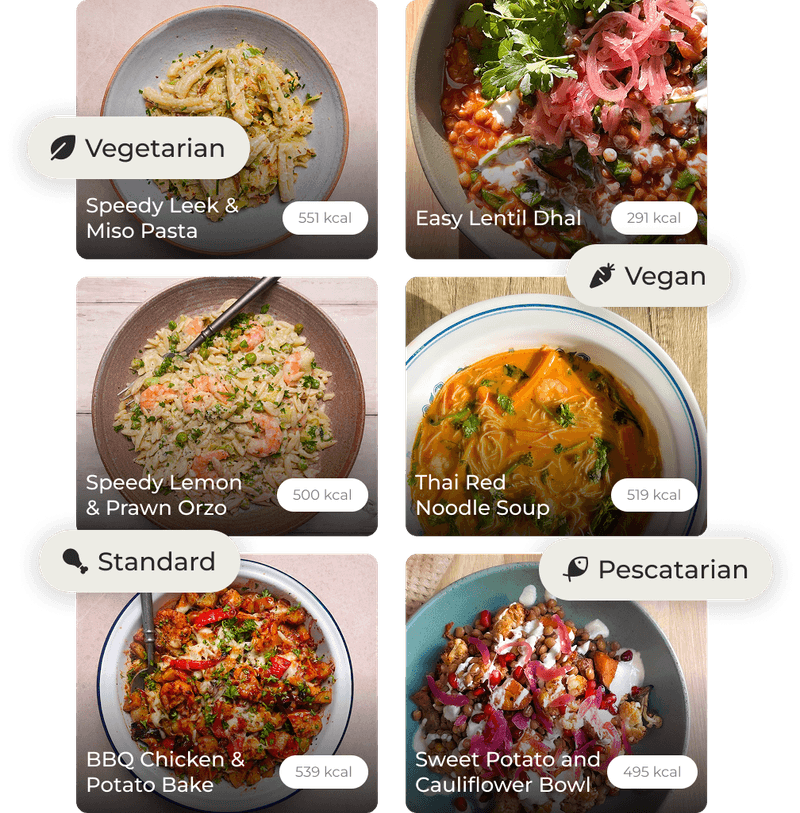 SHREDDY App - Join Today