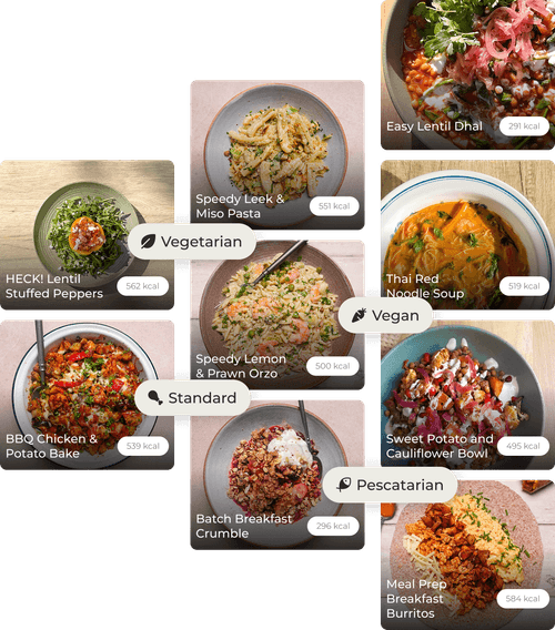 SHREDDY App - Join Today