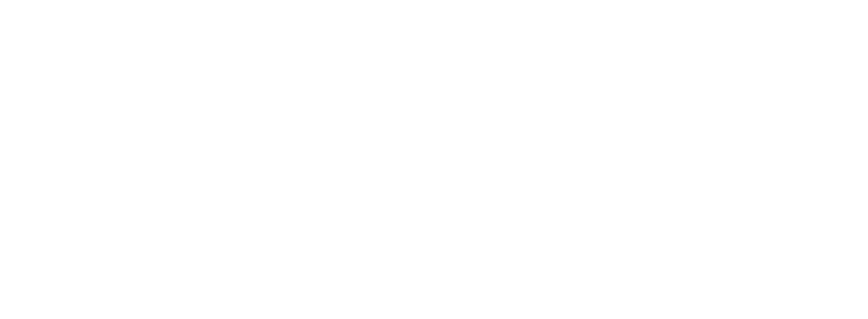 Børnerigefonden - Denmarks first hospital foundation