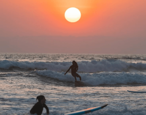 Jack.org | Hayley So