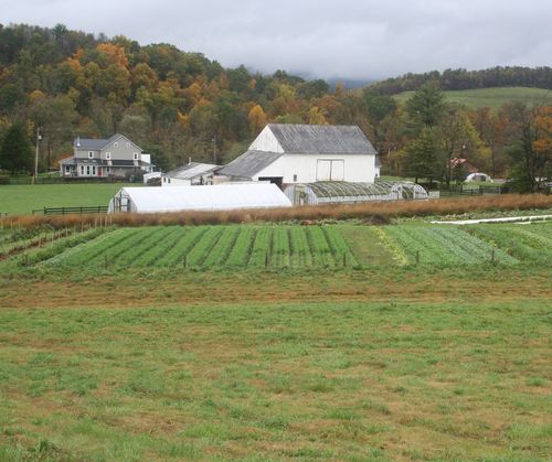 Plowshare Produce | CSA Farm in Huntingdon, Pennsylvania