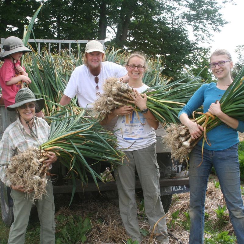 Plowshare Produce | CSA Farm in Huntingdon, Pennsylvania