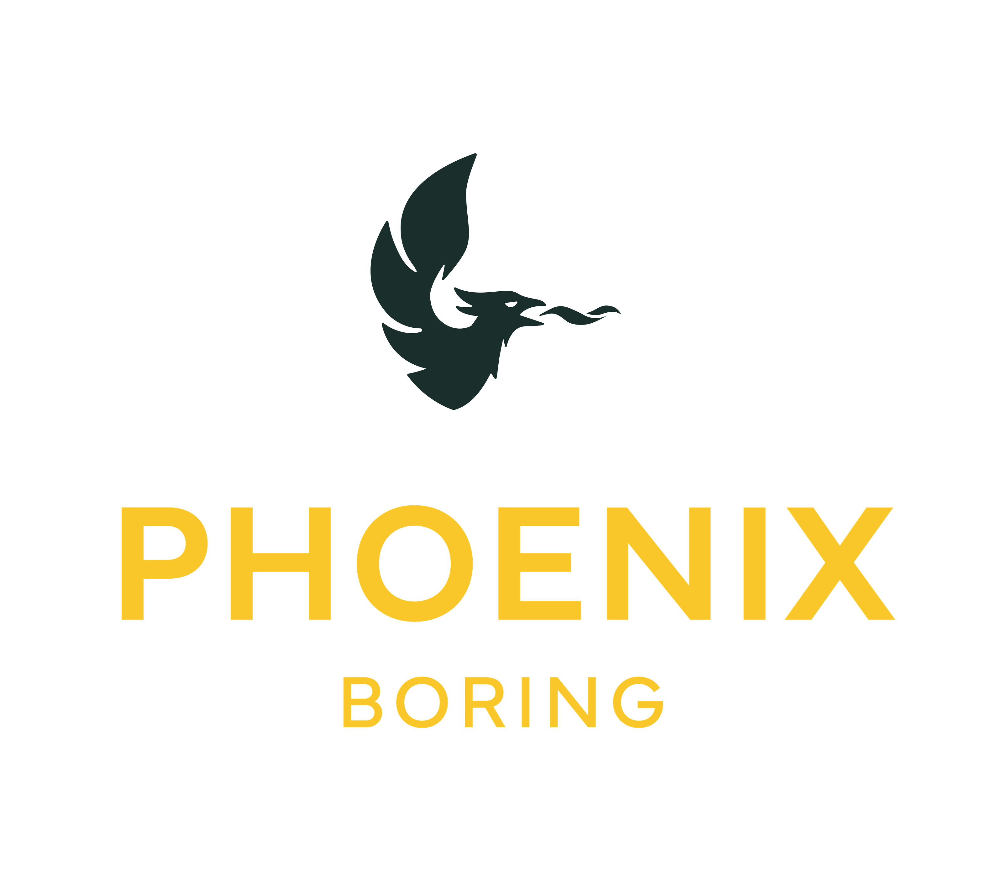 Phoenix Boring Utility Undergrounding