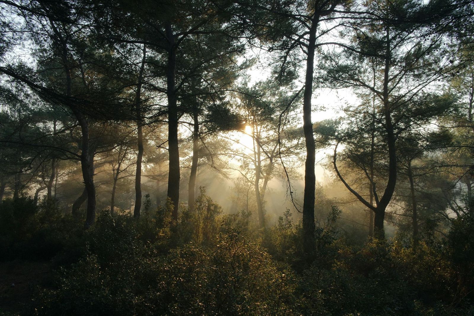 Qarlbo | Sustainable impact over generations