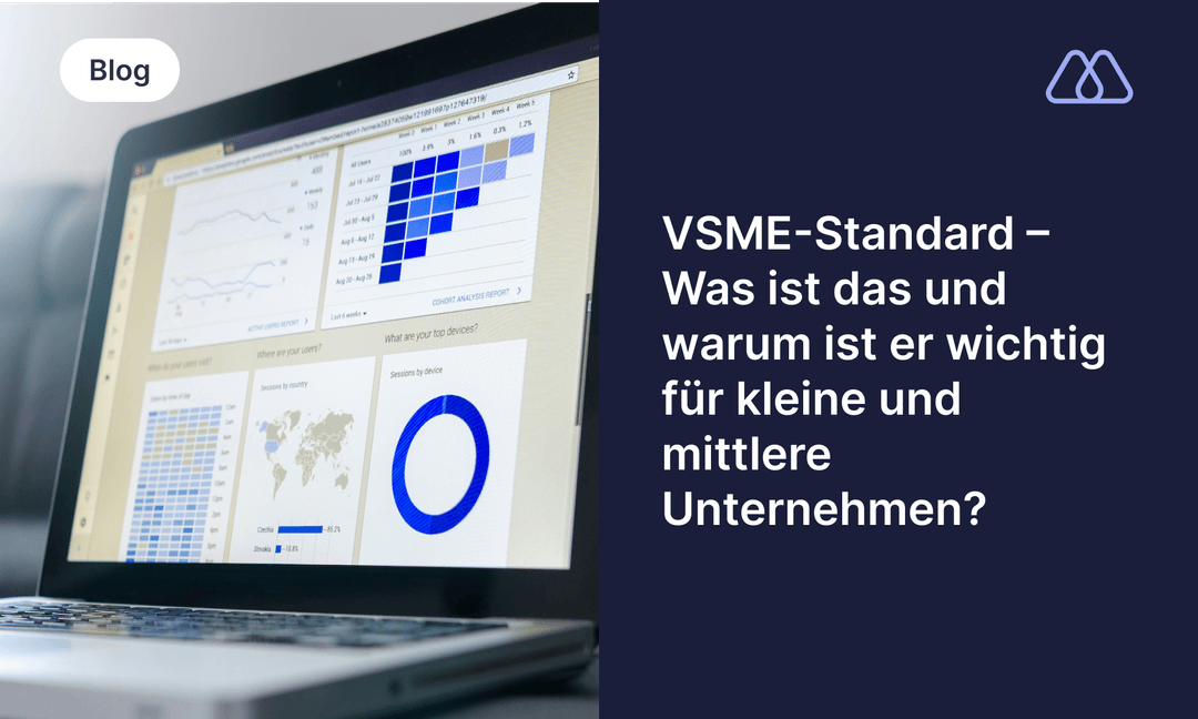 VSME-Standard – Was ist das und warum ist er wichtig für kleine und ...