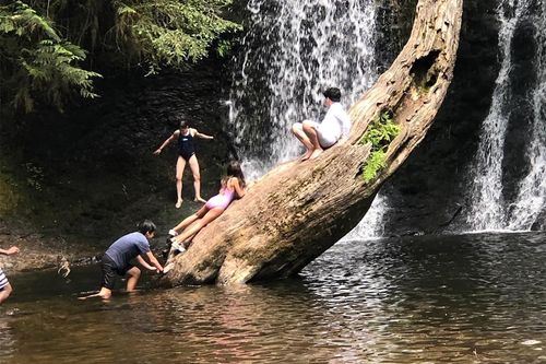 PRO Club | Youth Camps in Bellevue