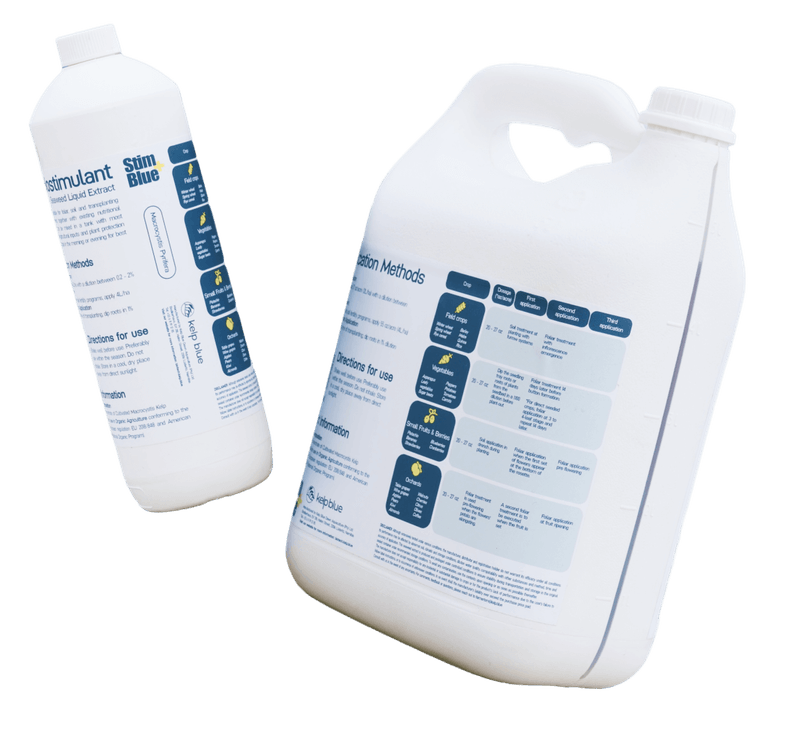 Sustainable Ocean Farming & Agricultural Innovation | Kelp Blue