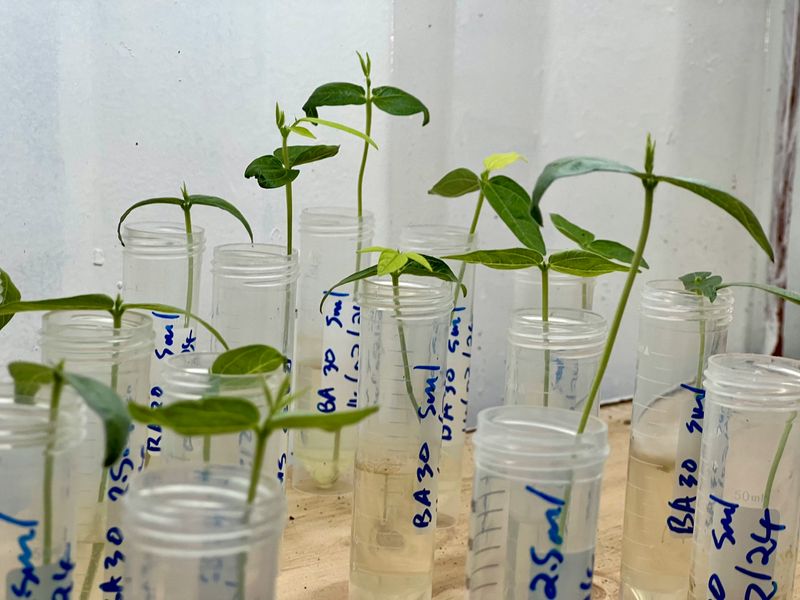 About Kelp Blue | Innovating Ocean Farming & Sustainable Agriculture