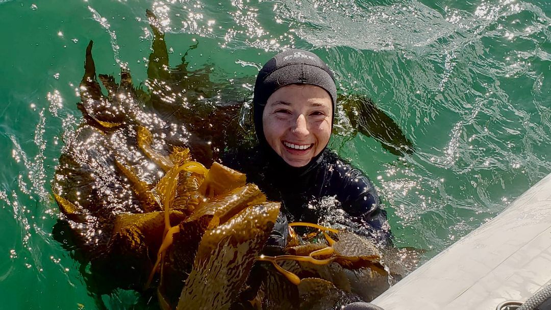 Giant Kelp: Restoring Oceans & Supporting Sustainable Agriculture ...