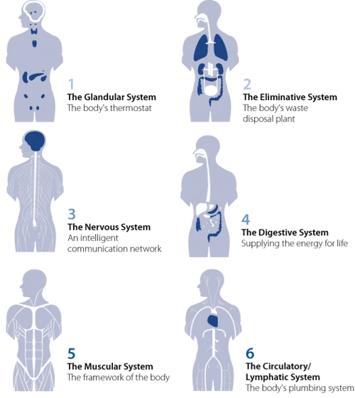 Zone Technique