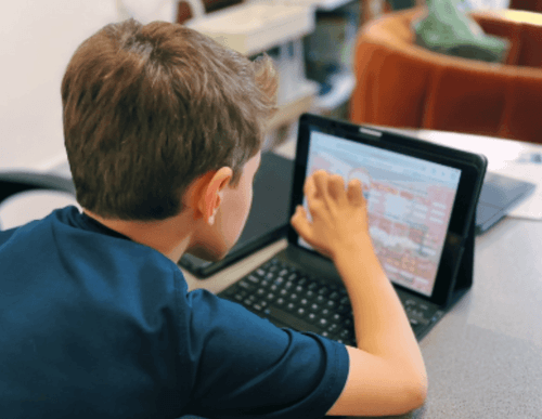 What is the Language Literacy Network and how can it improve literacy ...