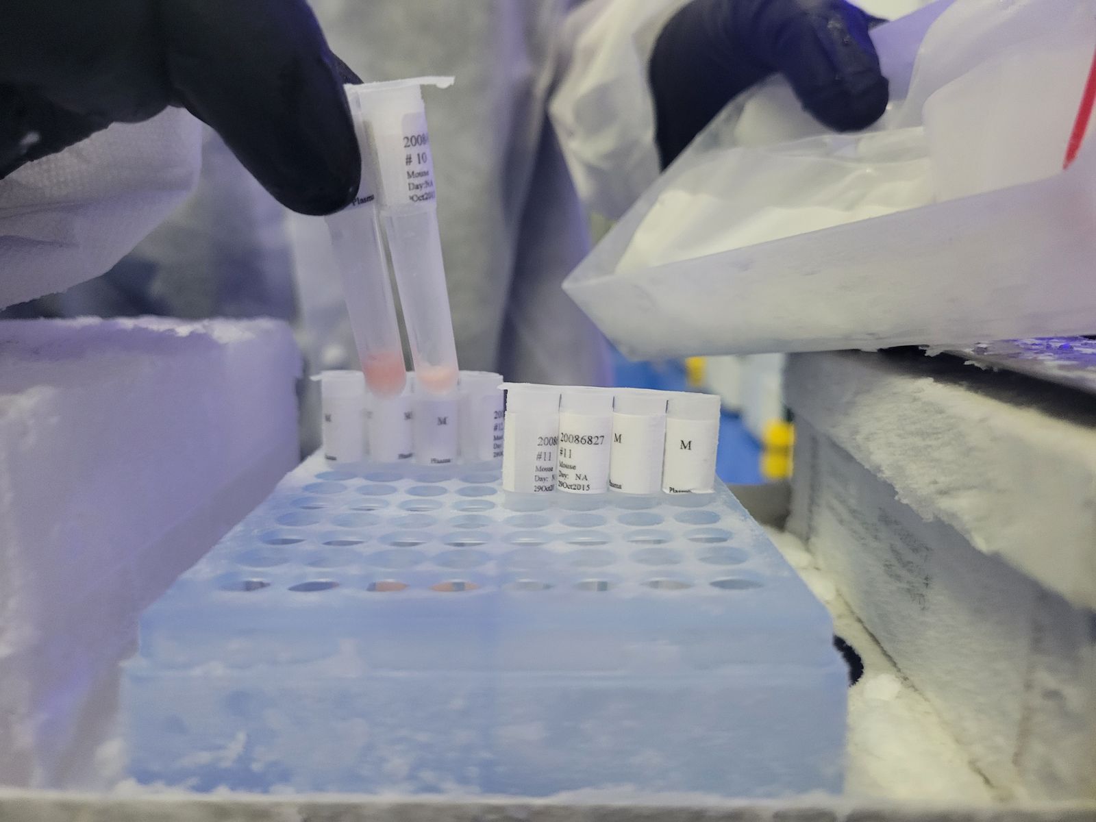 Biorepository Resources for Pharmaceutical Storage