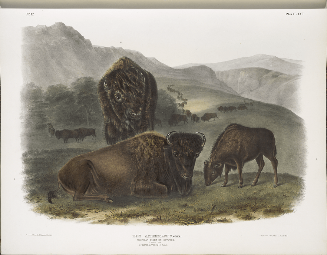 Visit Information | Hunter Museum of American Art