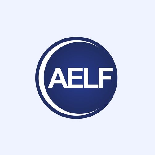 Meet The AELF Team