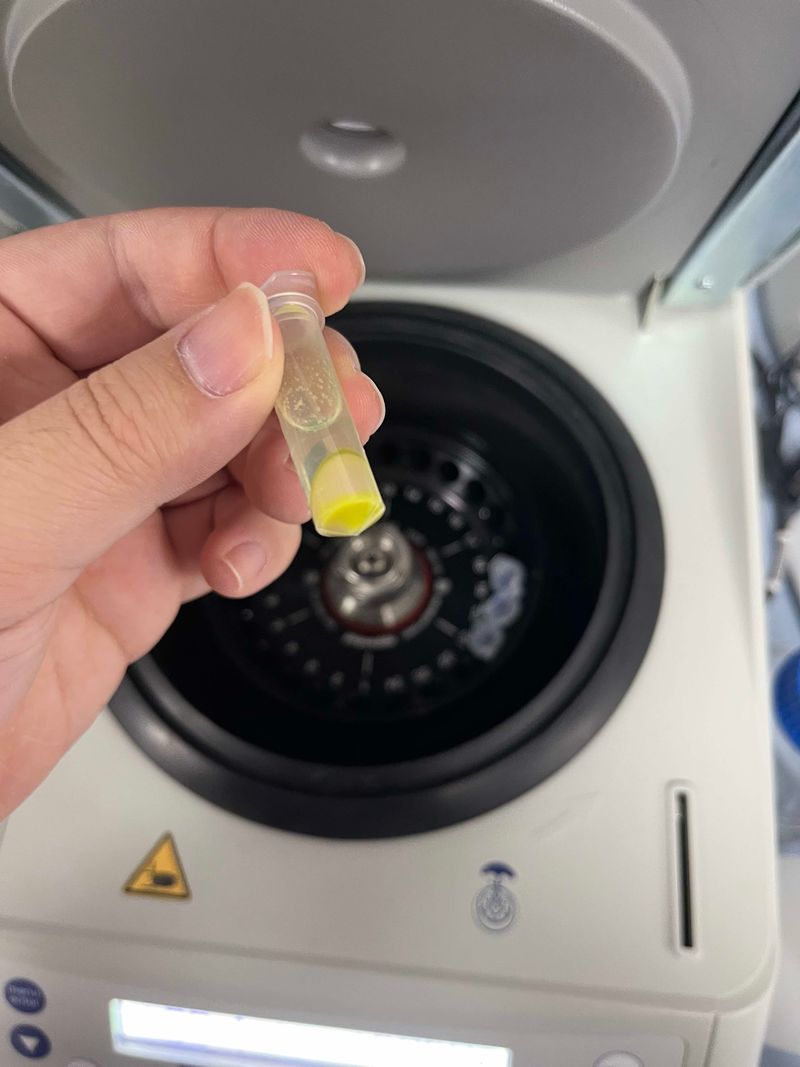 PandaPure - Effortless protein expression and purification