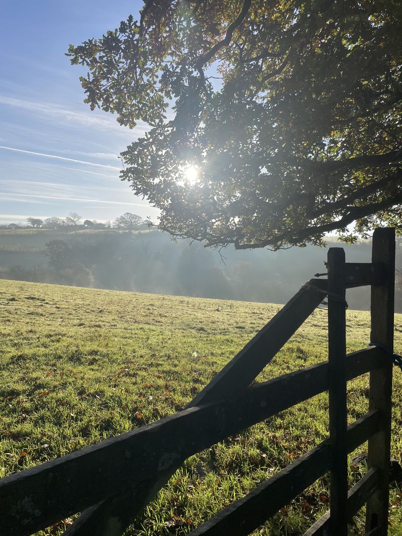 Falmouth News | Life Media