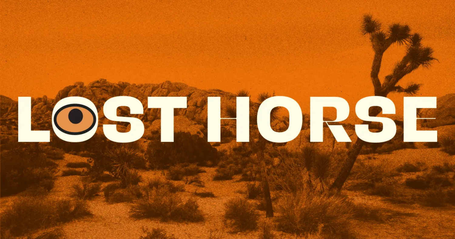 Lost Horse - A Sustainable, Full-Service Design Studio