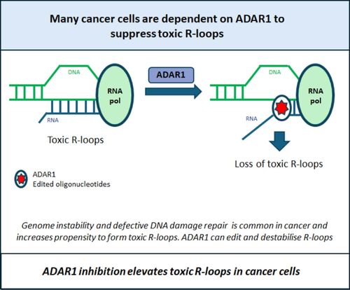 Dark Blue Therapeutics - Our Science