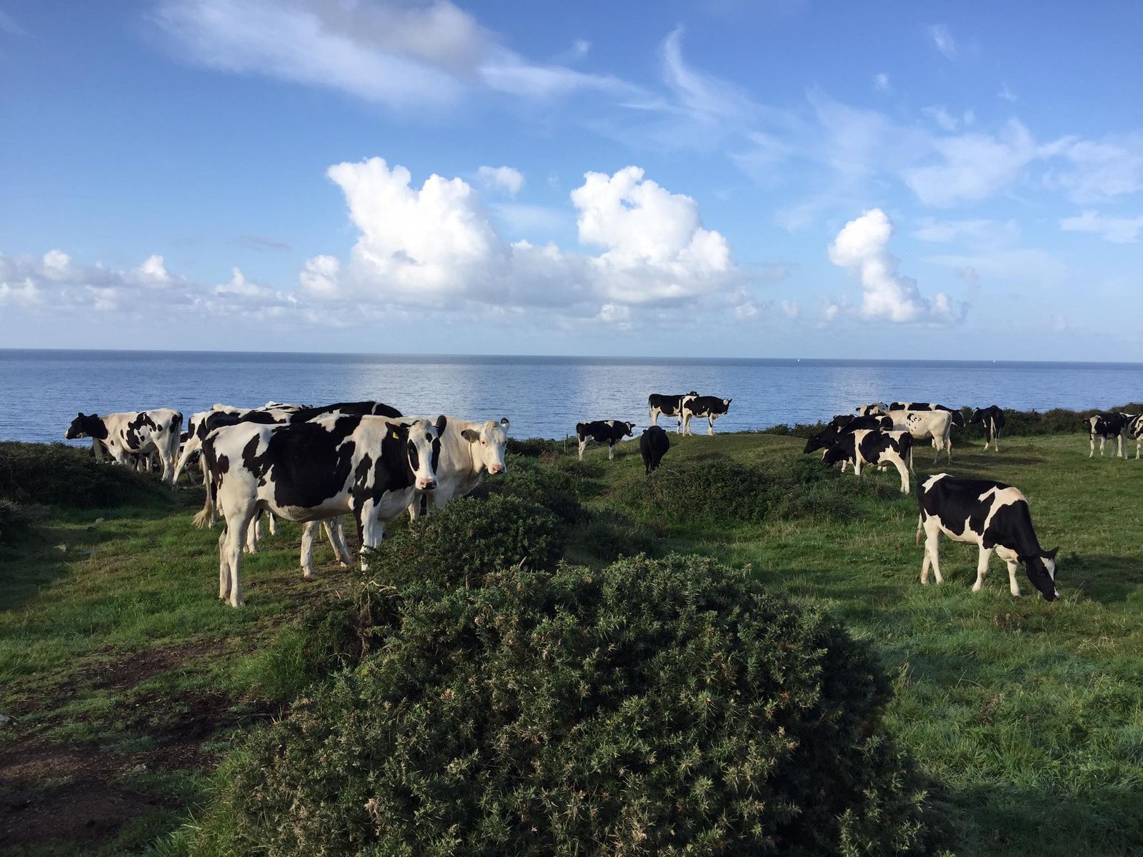 Penrose Campsite - Porthleven, Cornwall