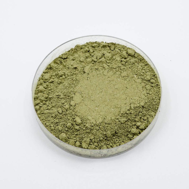 Buy Trichoderma harzianum | Soil Inoculant & Fungal Biofertilizer