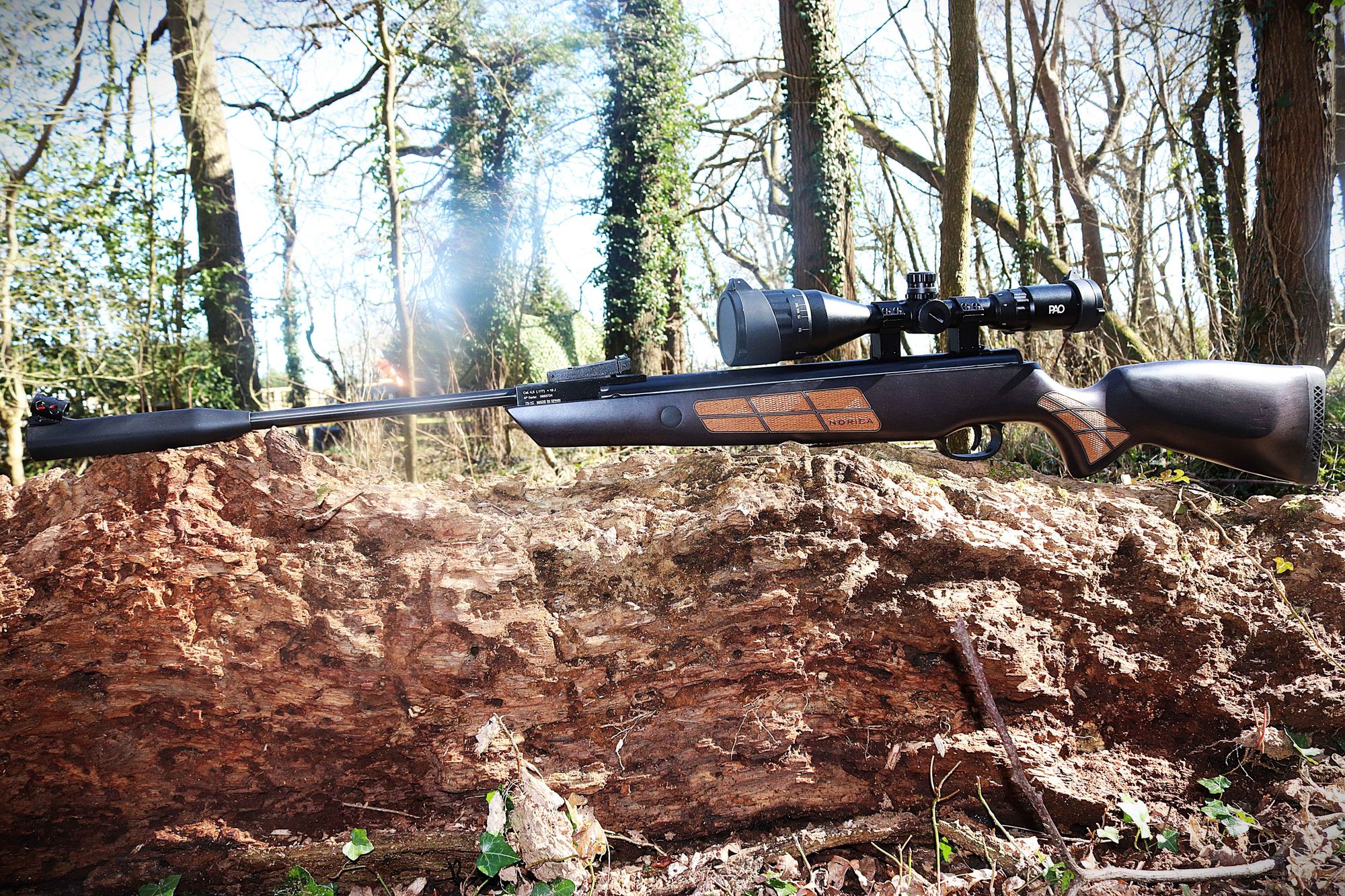 Airgun Extra - Five of the best break barrel spring powered airguns of 2025
