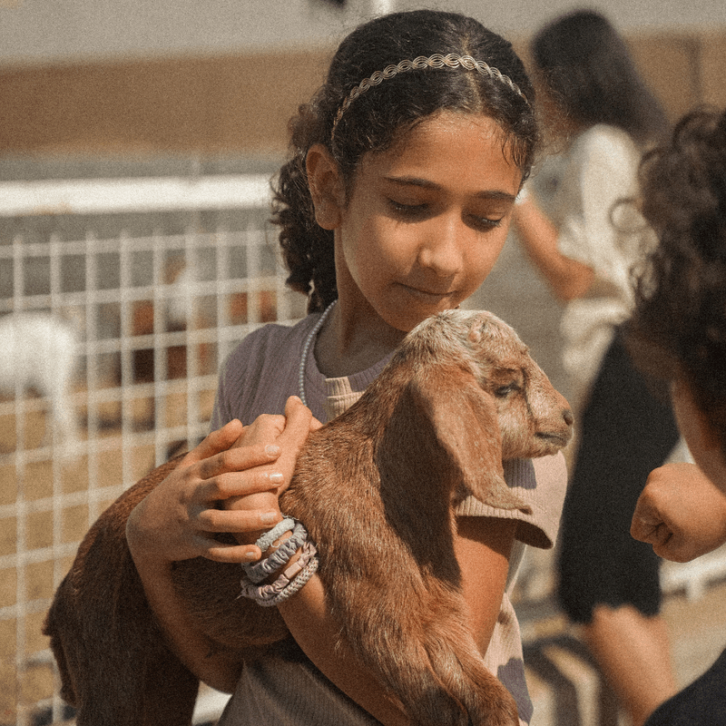 Al Suwaidi Farm | Explore Nature in Dubai