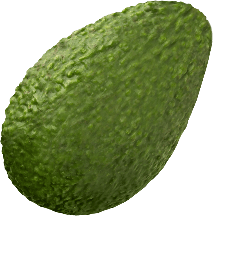 FilFil – Elevate Your Taste with Premium Seasonings & Sauces