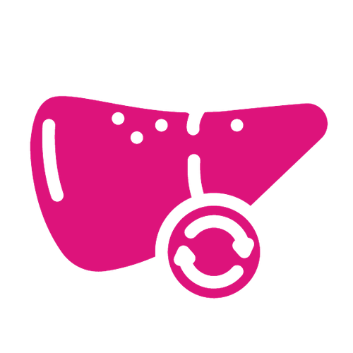 ALAN Electronic Systems