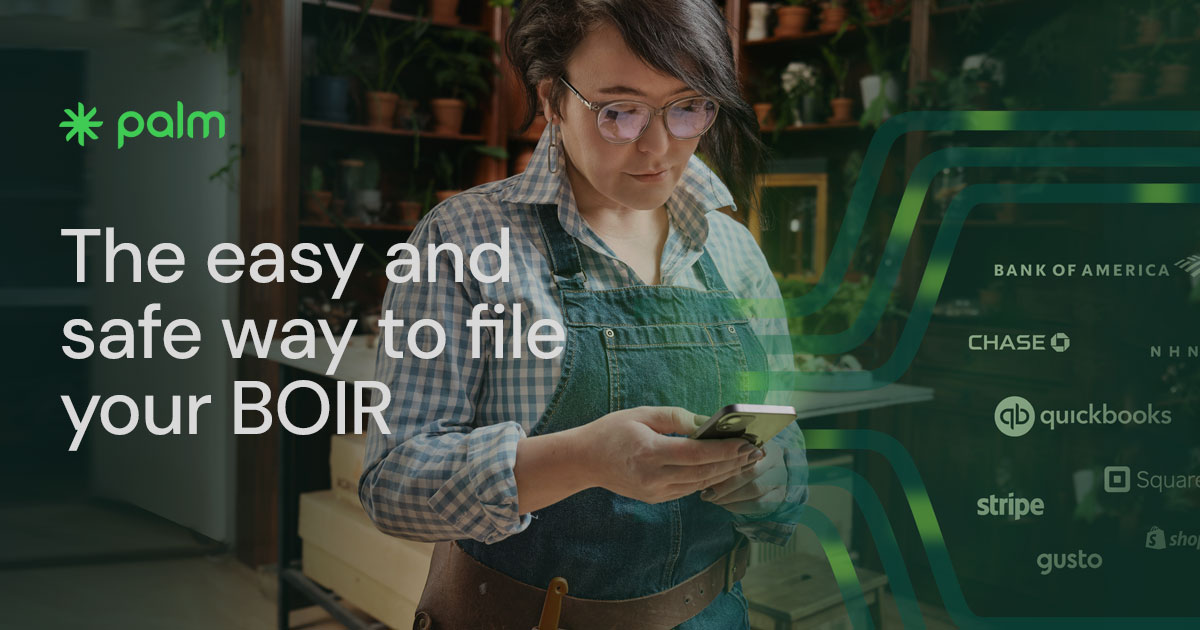Simplify BOIR (Beneficial Ownership Information Report) | Palm