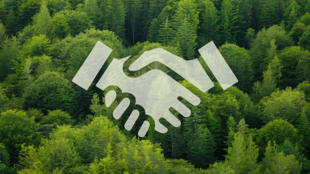 How to Build a Winning Carbon Credit Project Proposal | Cloverly