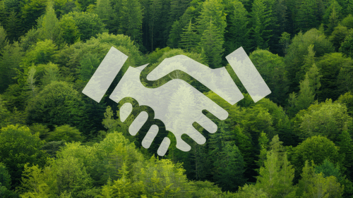 How to Build a Winning Carbon Credit Project Proposal | Cloverly