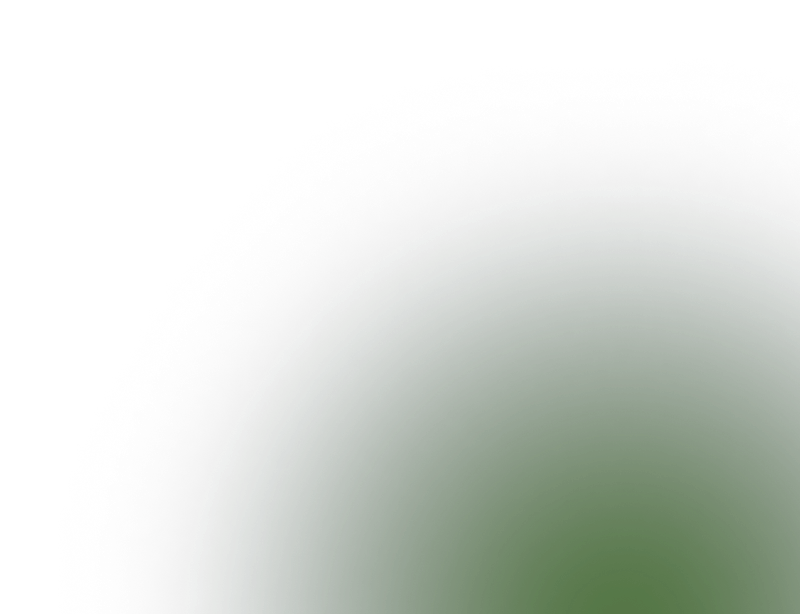 ‍What is a Domain-Specific LLM? Examples and Benefits