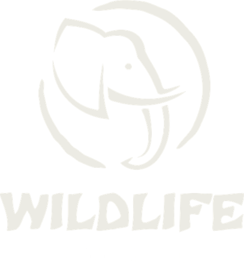 Wildlife Angel - Protection de la Faune Sauvage et Formation des Rangers