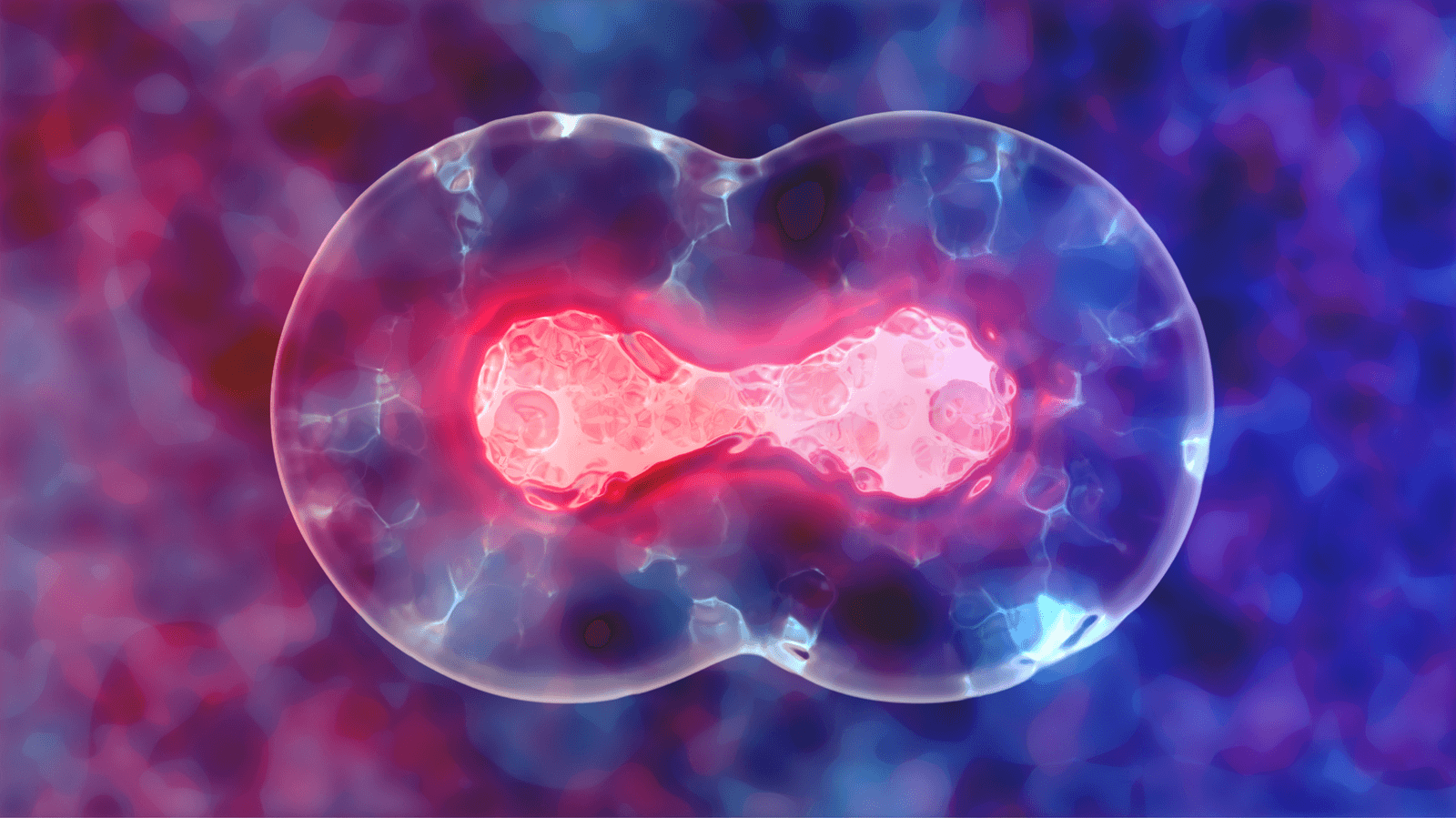 IMAPAC | Cell & Gene Therapy World Asia 2025