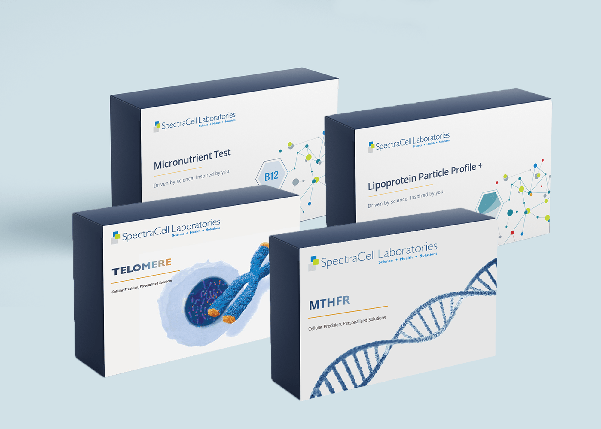 Discover Our Complete Range of Blood Tests | SpectraCell