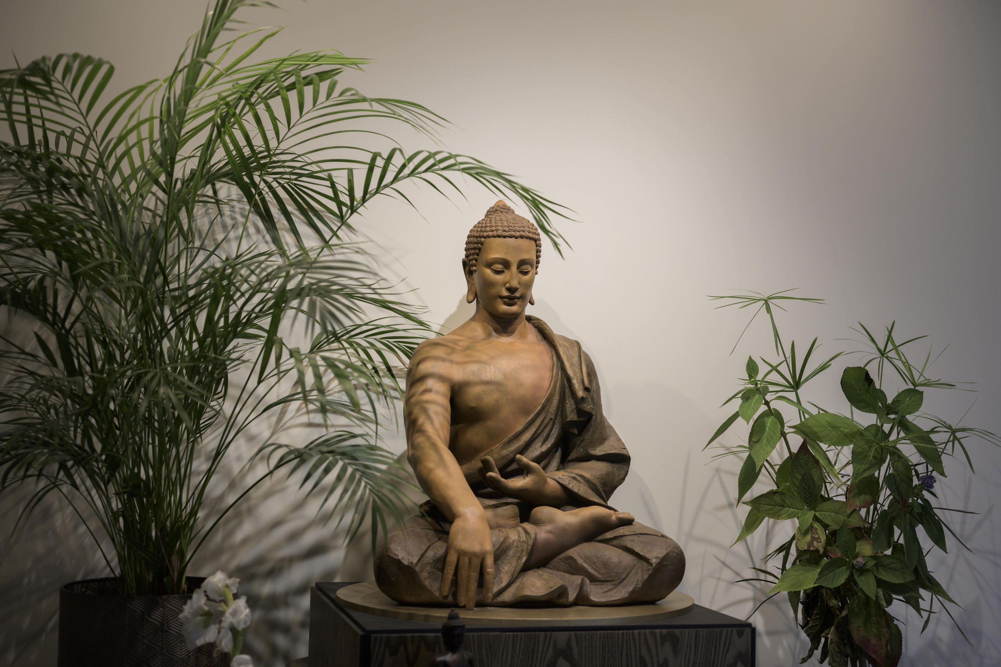 Bouddhisme à Paris – Enseignements et Pratiques au Centre Triratna