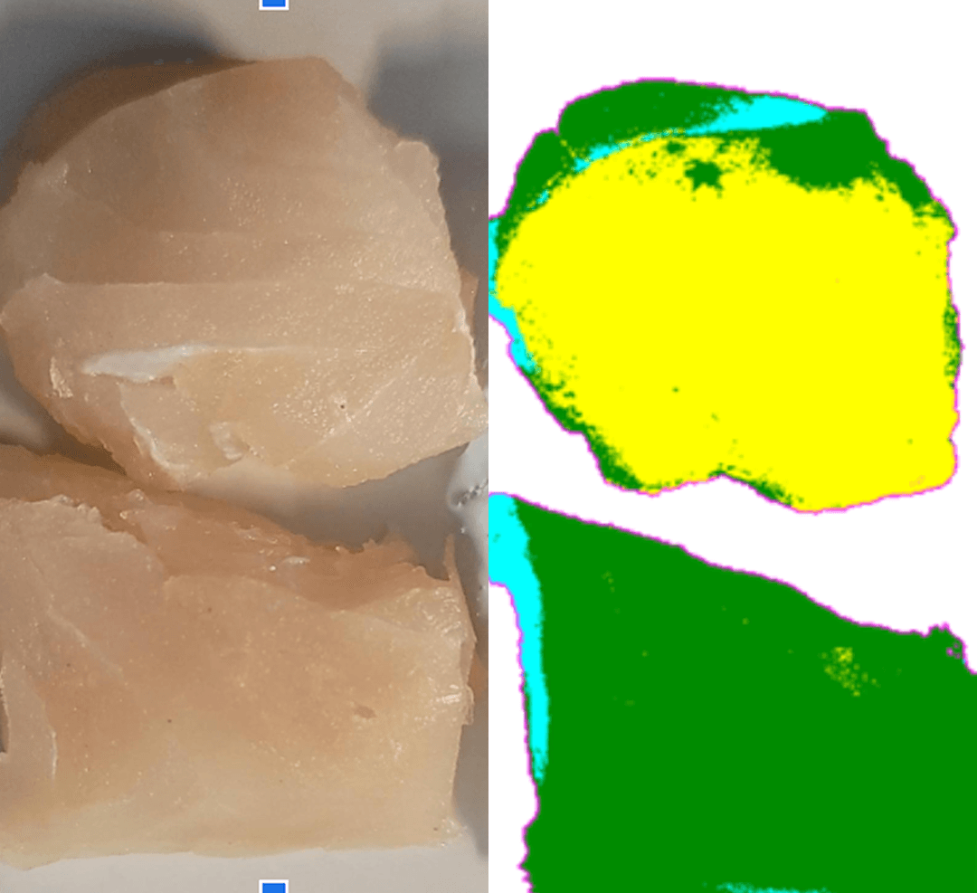 fish - freshness and fraud detection | Beyond Food Safety Projects