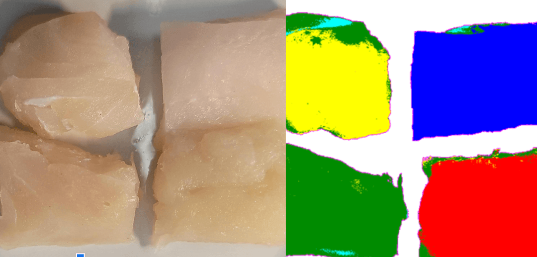 fish - freshness and fraud detection | Beyond Food Safety Projects