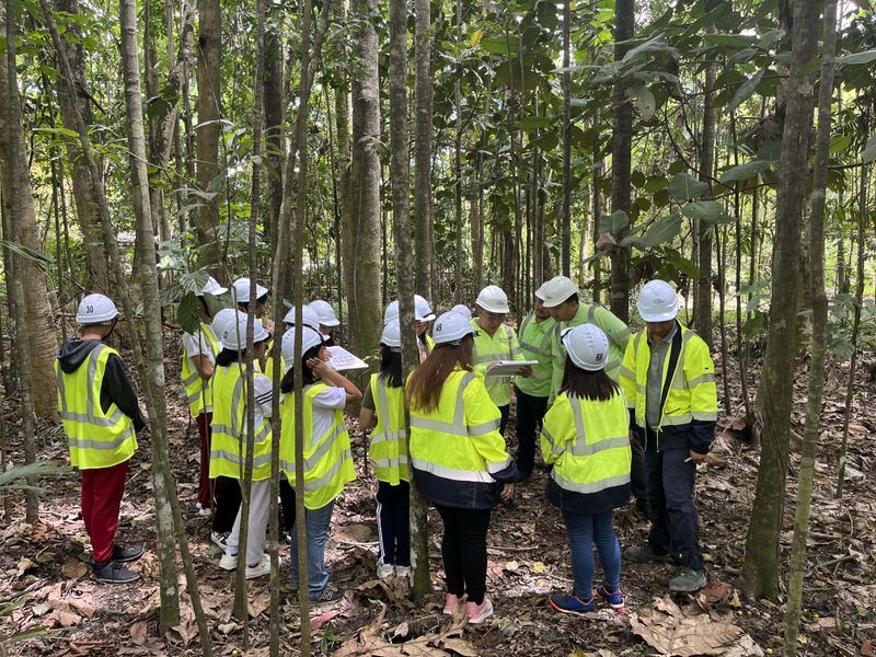 HMDC | Helix Mining and Development Corporation