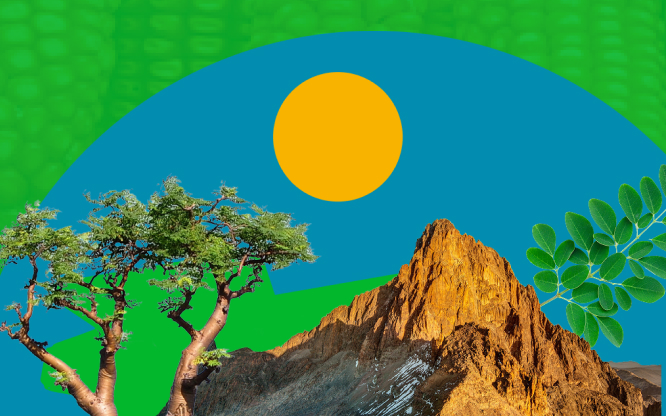 Reading the Mau Mau Rebellion Through Kenyan Spiritual Relations to Place