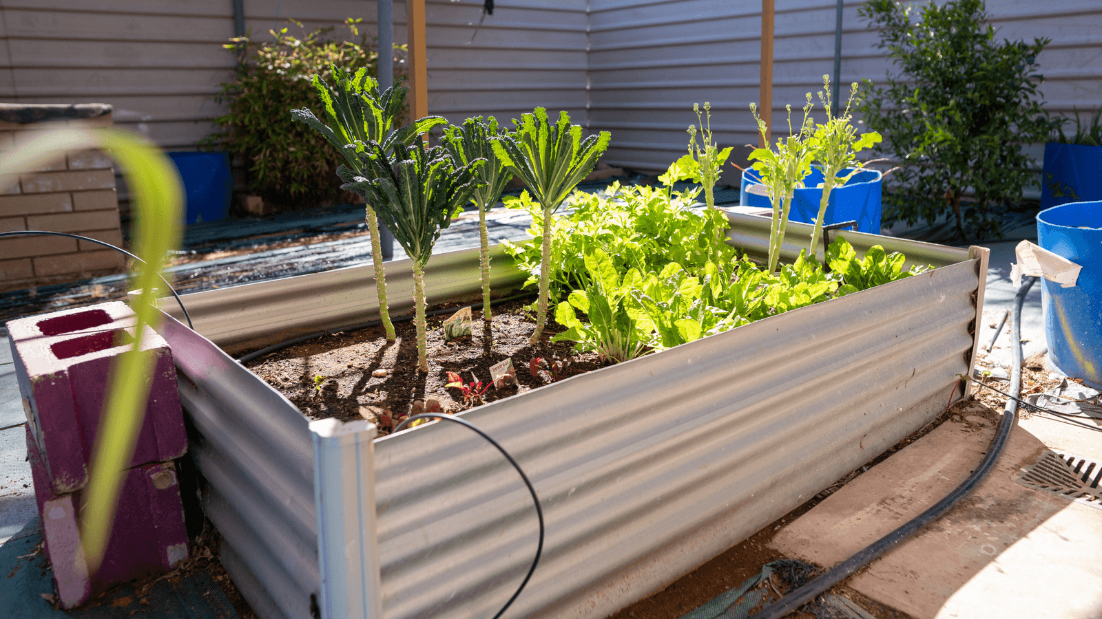 NDIS Eligibility Checklist | Are You Ready to Apply?