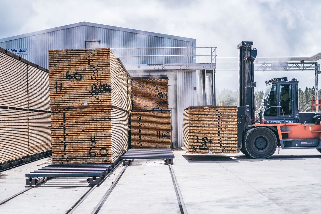 Hyne Timber | Hyne Group