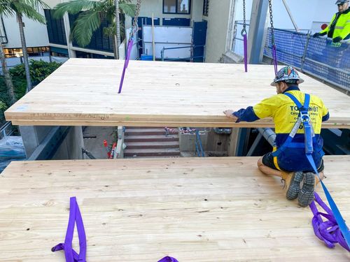 Australasia's Leading Sustainable Wood Manufacturer | Hyne Group