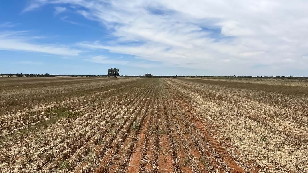 Our projects | Windlab