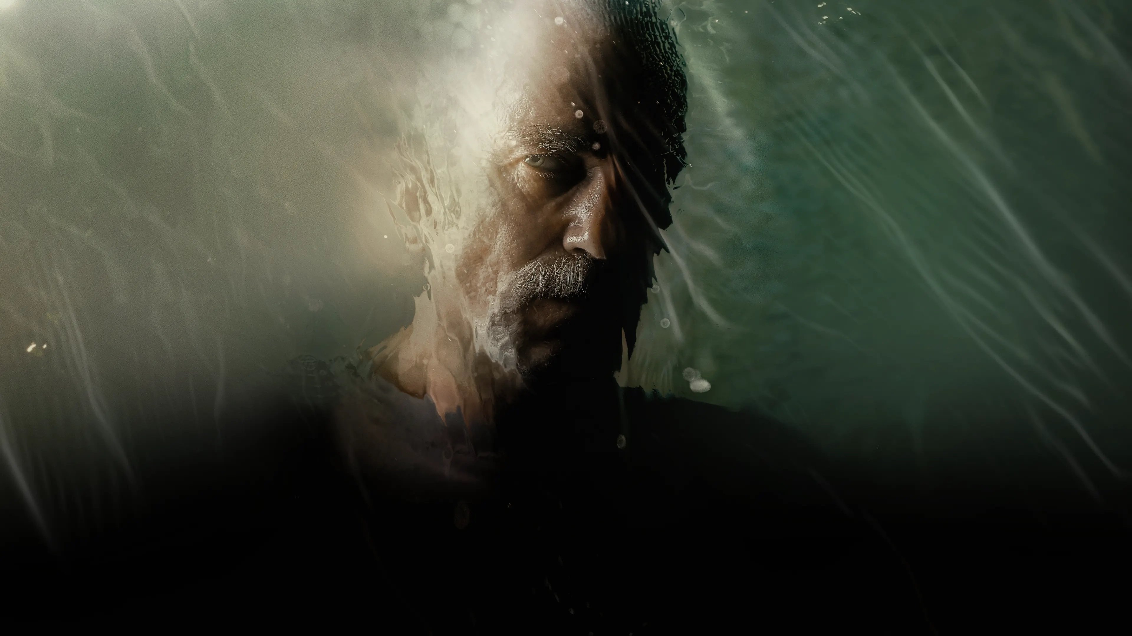 Anemone | Screener Passport