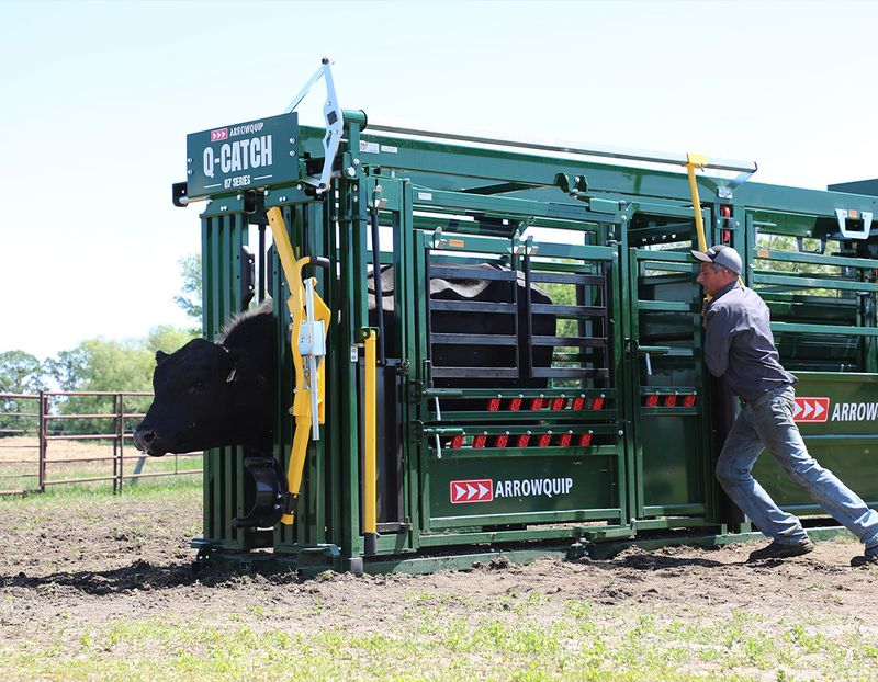 Arrowquip Cattle Equipment | Premier Ag – Efficiency Redefined