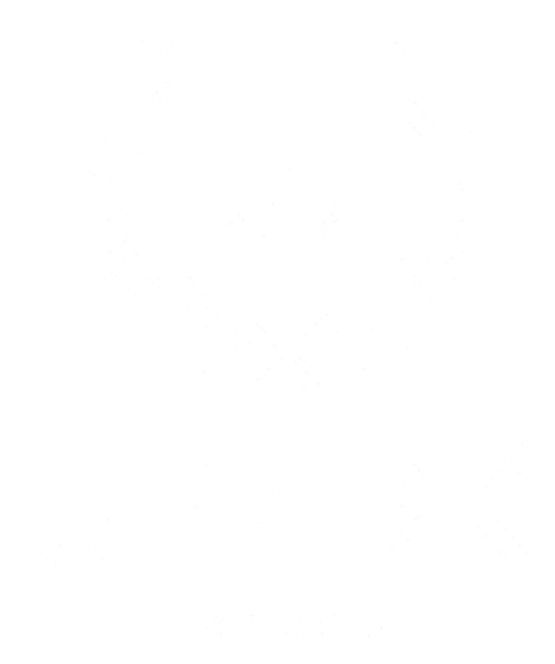 Our Story | SPARK Schools